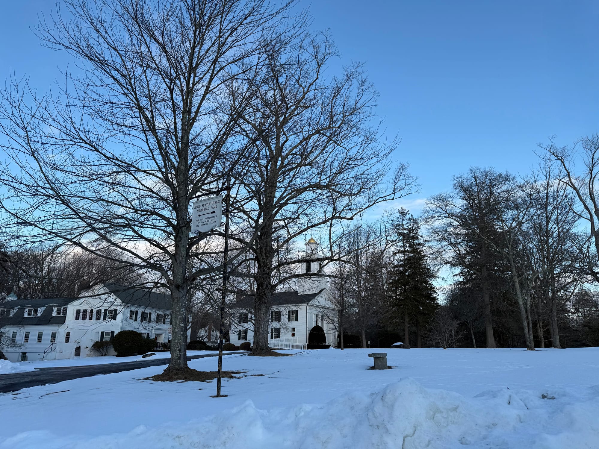 Photo essay: Woodbridge Town Center in Winter